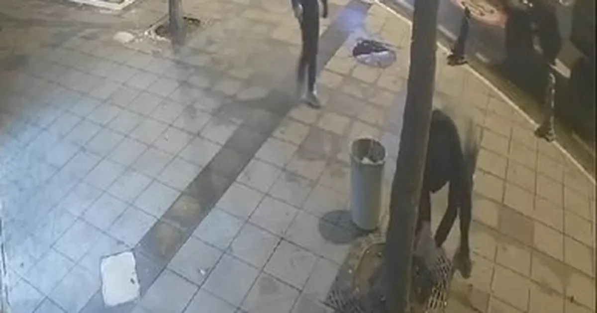 Tekirdağ'da At Arabasıyla Mazgal Hırsızlığına 2 Tutuklama - Batı Ekspres